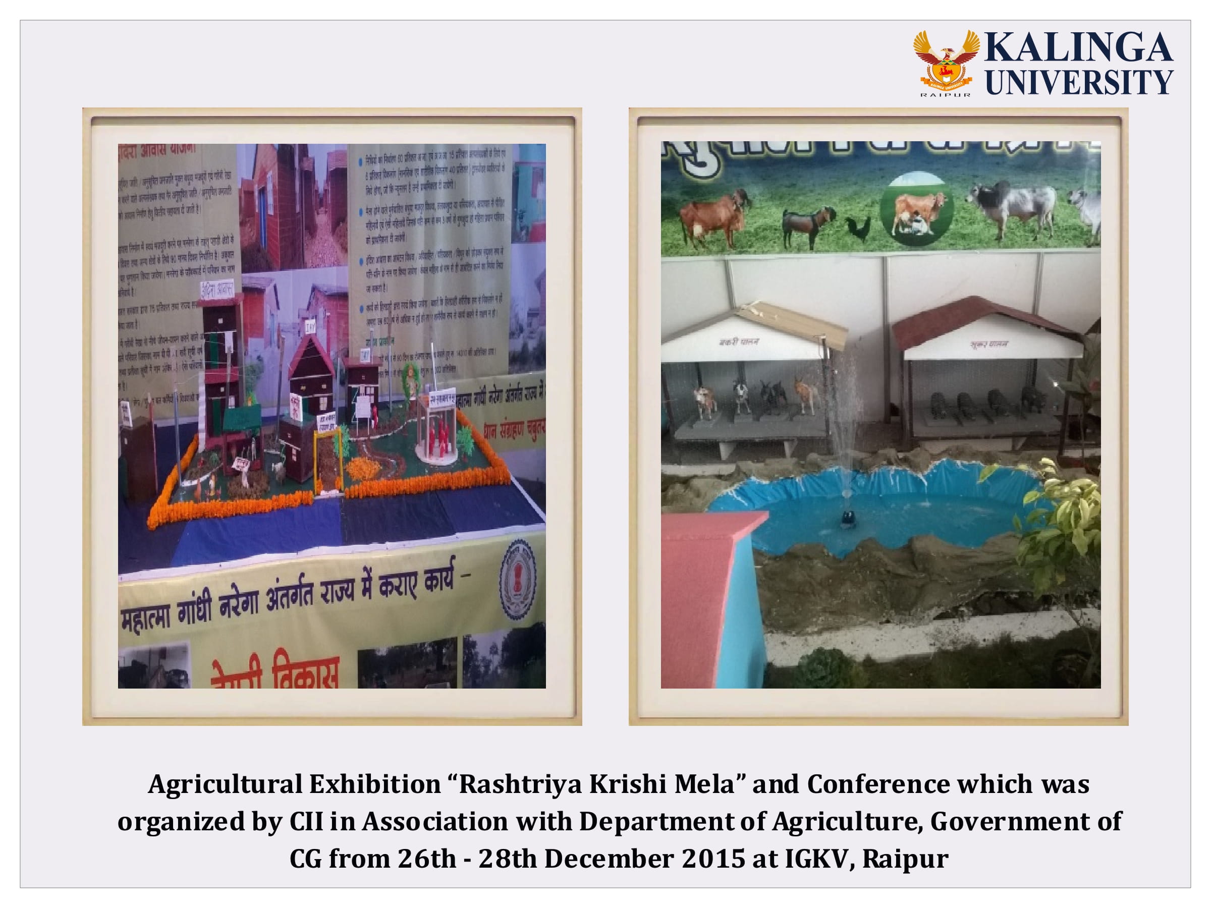 Kalinga University Raipur, Best University in Chhattisgarh UGC-approved