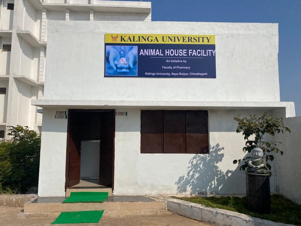 Kalinga University Raipur, Best University in Chhattisgarh UGC-approved